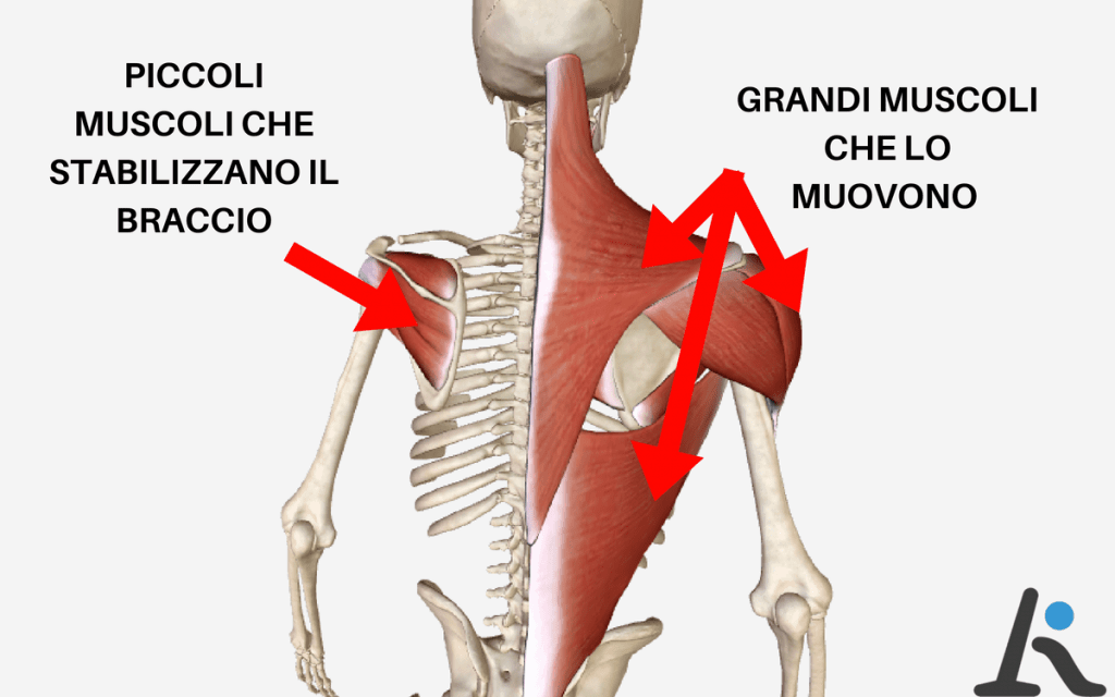 Come sconfiggere la tendinite alla spalla in 3 mosse (prova subito!)