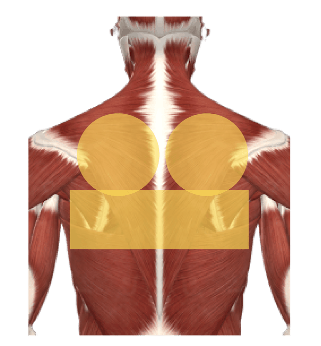 Muscolo DIAFRAMMA: cosa succede quando è "BLOCCATO" (+ ESERCIZI per ...