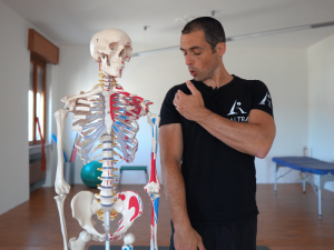 Borsite alla spalla: esercizi e rimedi più efficaci - L'Altra ...