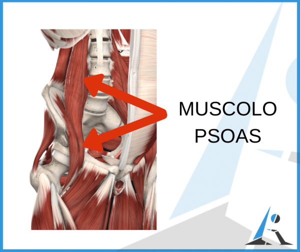Infiammazione o tendinite dello PSOAS: ecco cosa fare