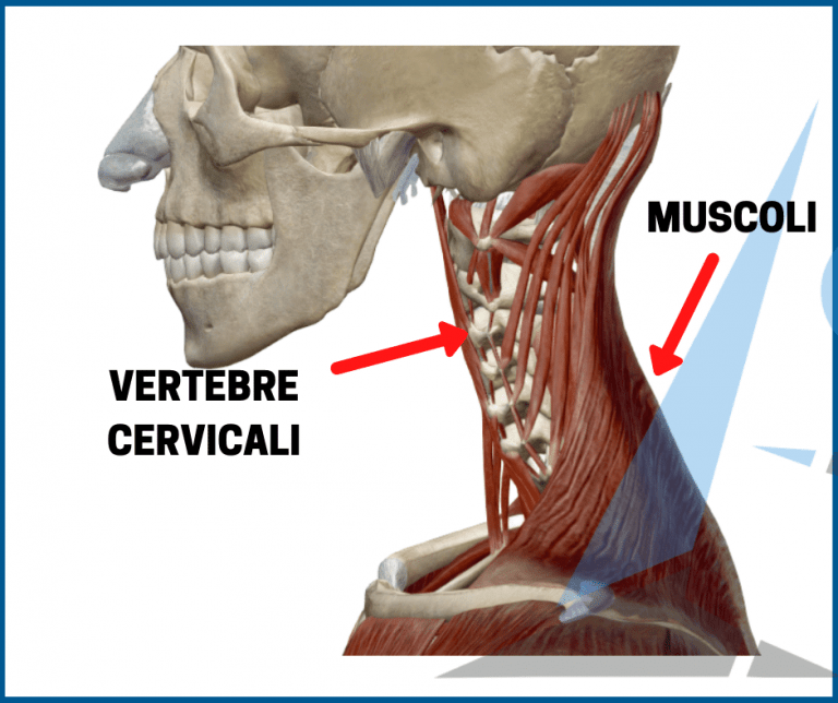 Quando la cervicale prende gli occhi e la vista: ecco cosa fare