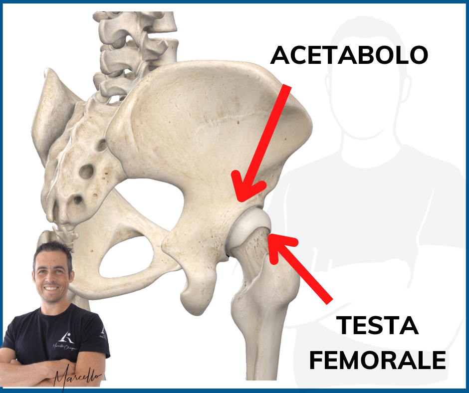 Il dolore all' anca - L'Altra Riabilitazione
