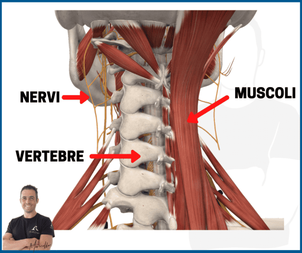 Nervi del collo infiammati e tesi? Ecco perché e cosa fare!