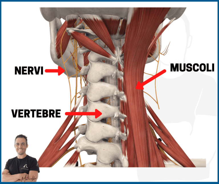 Nervi del collo infiammati e tesi? Ecco perché e cosa fare!