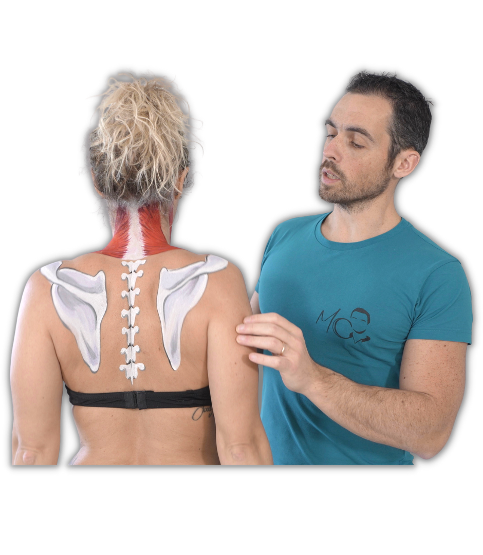 Cervicale e mani che si addormentano: come risolvere