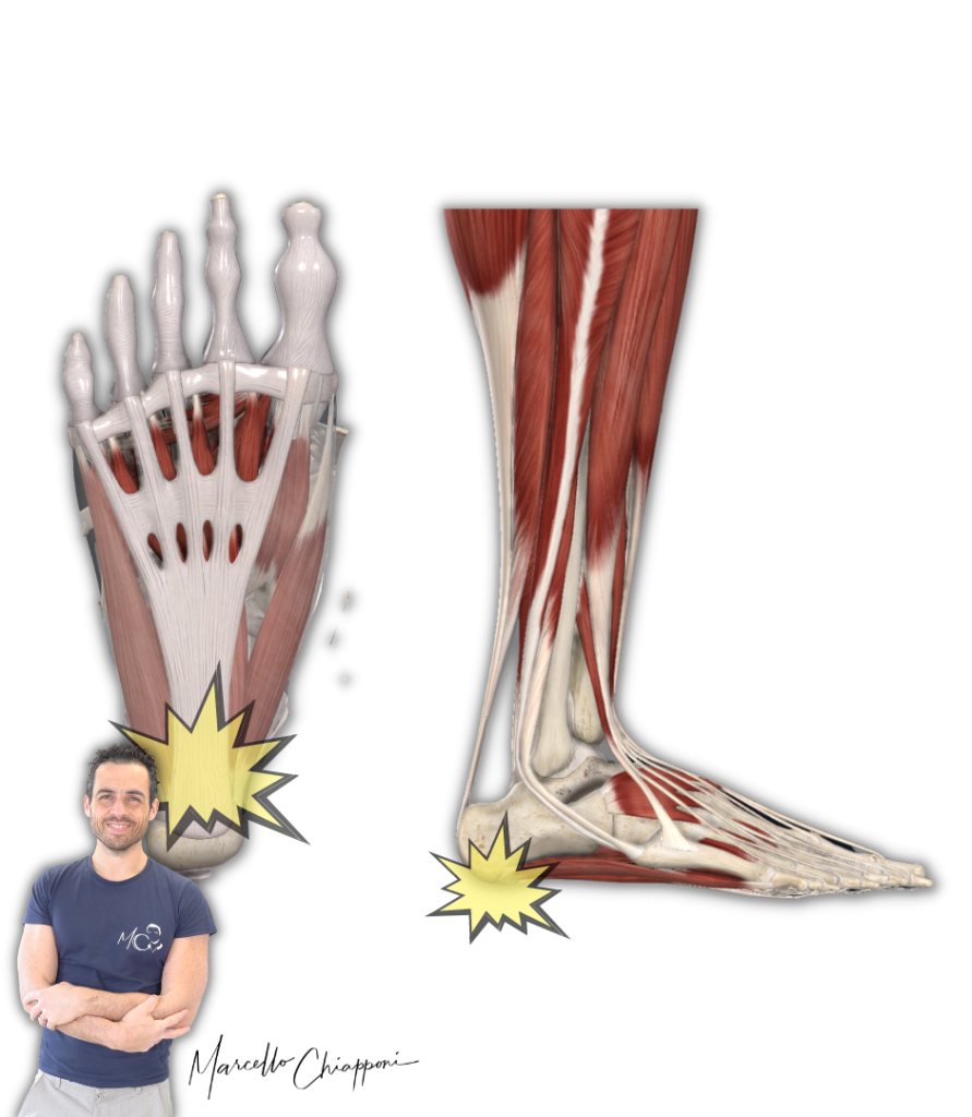 Dolore al piede: punti critici, cause e rimedi "muscolari"