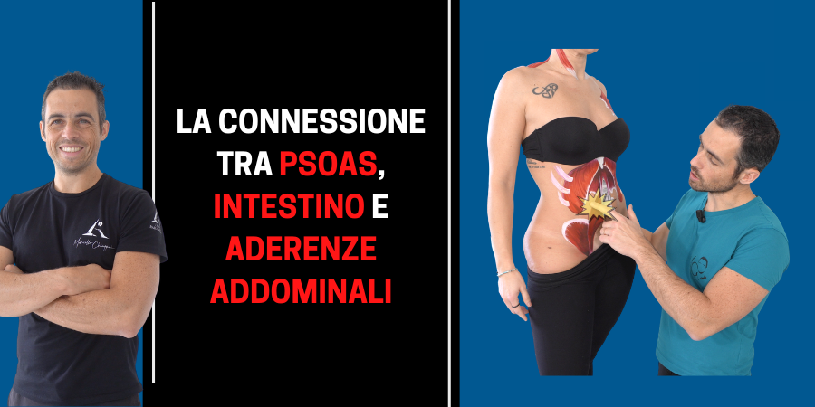 La connessione tra PSOAS, intestino e aderenze addominali
