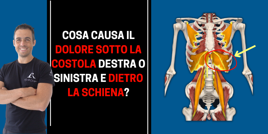 Colonna Vertebrale E Costole