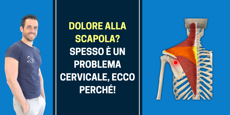 Dolore alla scapola? Spesso è un problema cervicale, ecco perché!