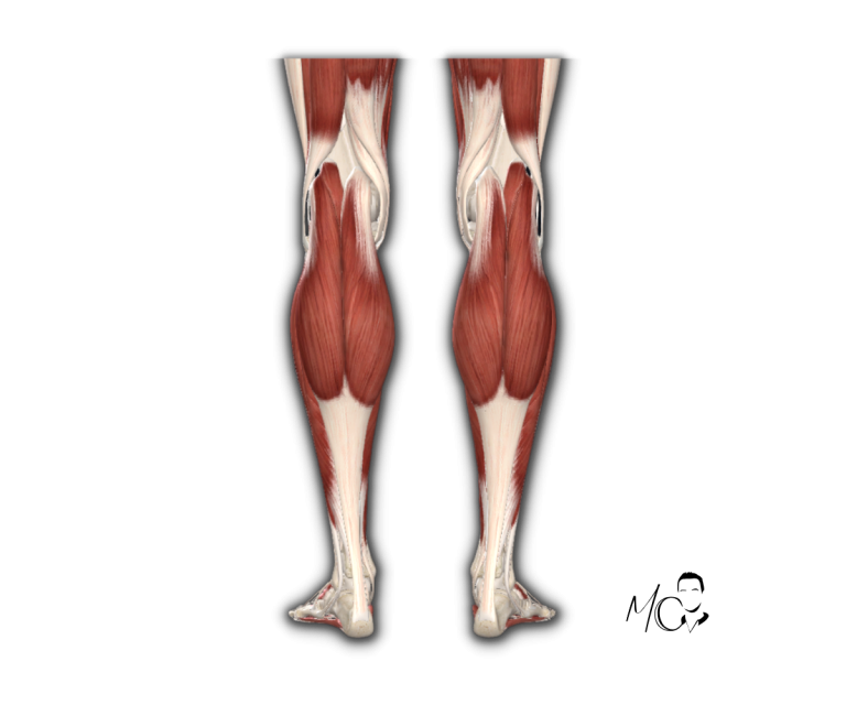 Stretching del polpaccio: migliora postura e dolori