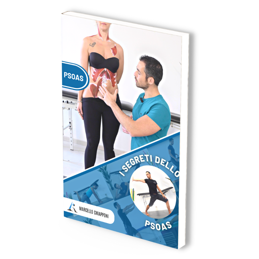 Nuovo PSOAS e DIAFRAMMA - optin - L'Altra Riabilitazione Nuovo PSOAS e DIAFRAMMA - optin - L'Altra Riabilitazione